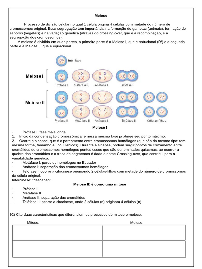 Atividades - Meiose | PDF