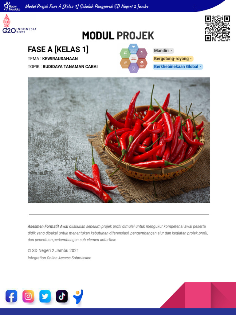Projek Cabai | PDF