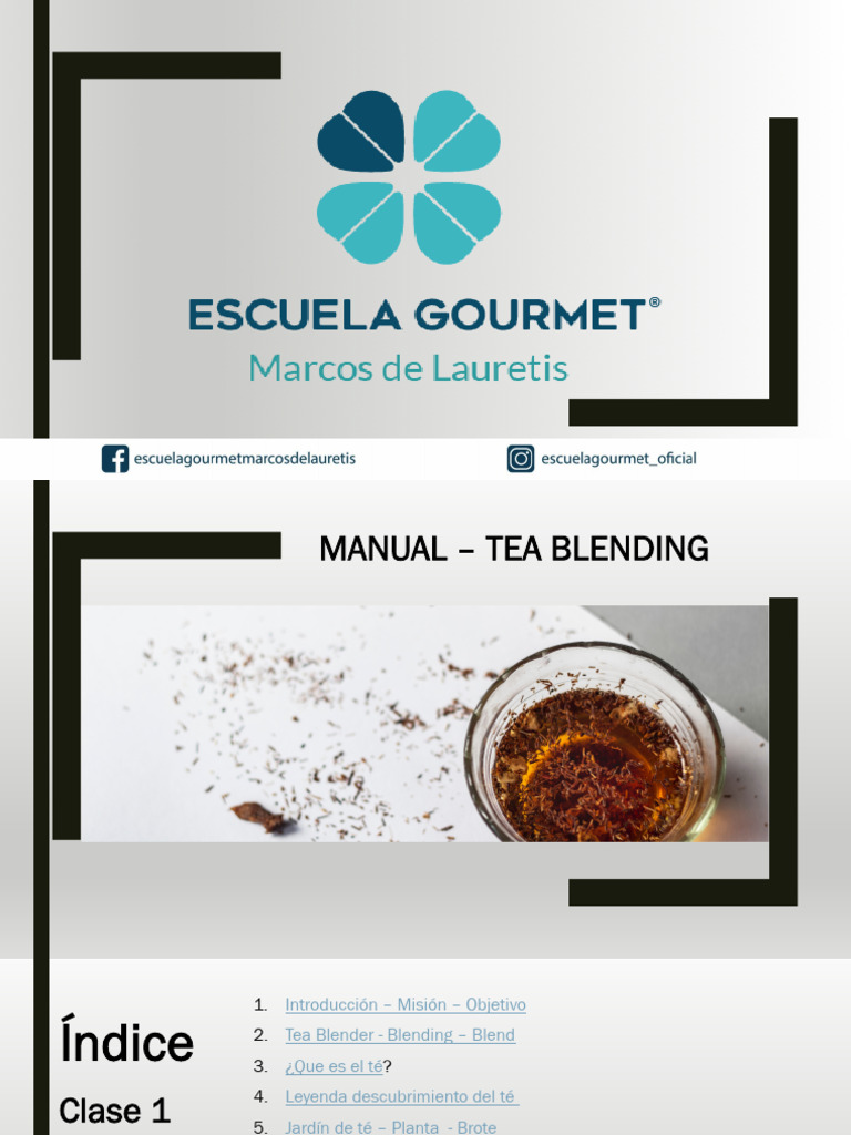 Manual de Tea Blender - Clase 1 | PDF