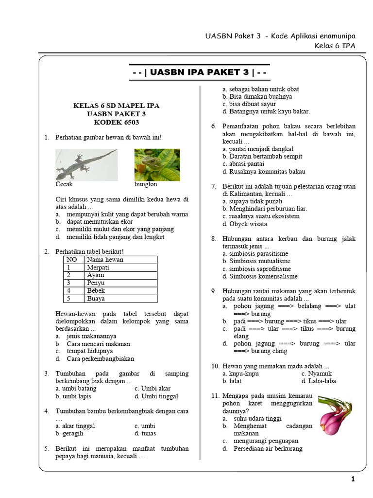 TryOut IPA UASBN Paket 3 | PDF