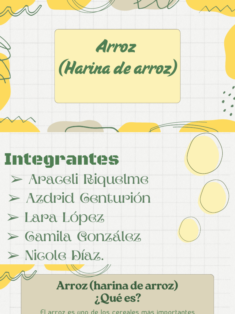 harina de arroz | PDF