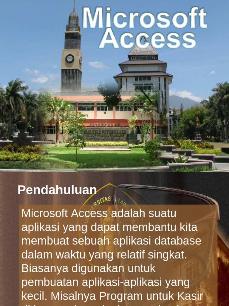 Microsoft Access New | PDF | Information Technology | Application Software