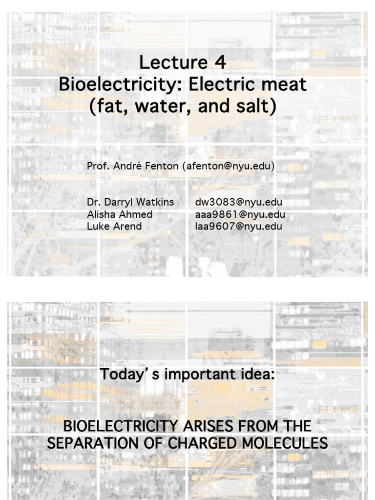 Lecture 4 Bioelectricity | PDF