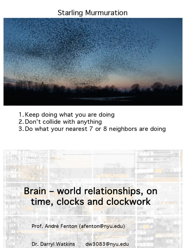 Lecture 3 Structure Function Time and Clocks | PDF