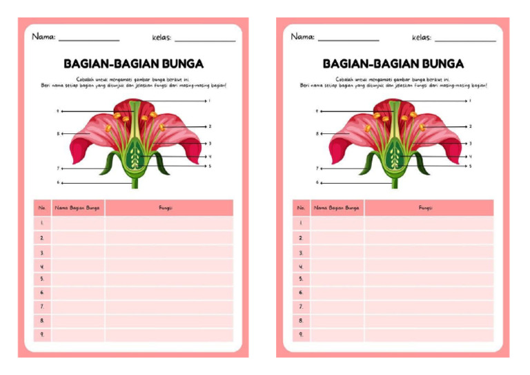 WORKSHEET IPAS Bagian Bunga | PDF