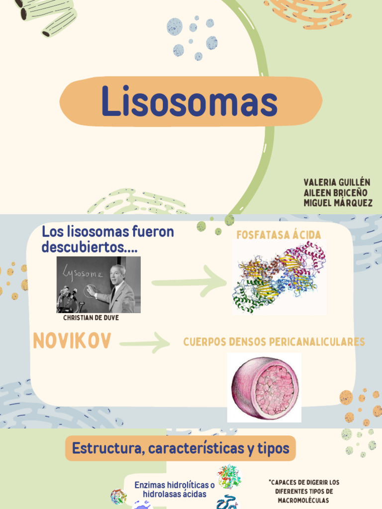 Lisosomas | PDF