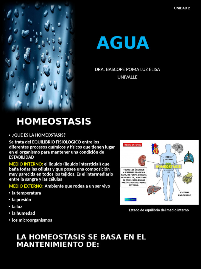 AGUA Teams | PDF