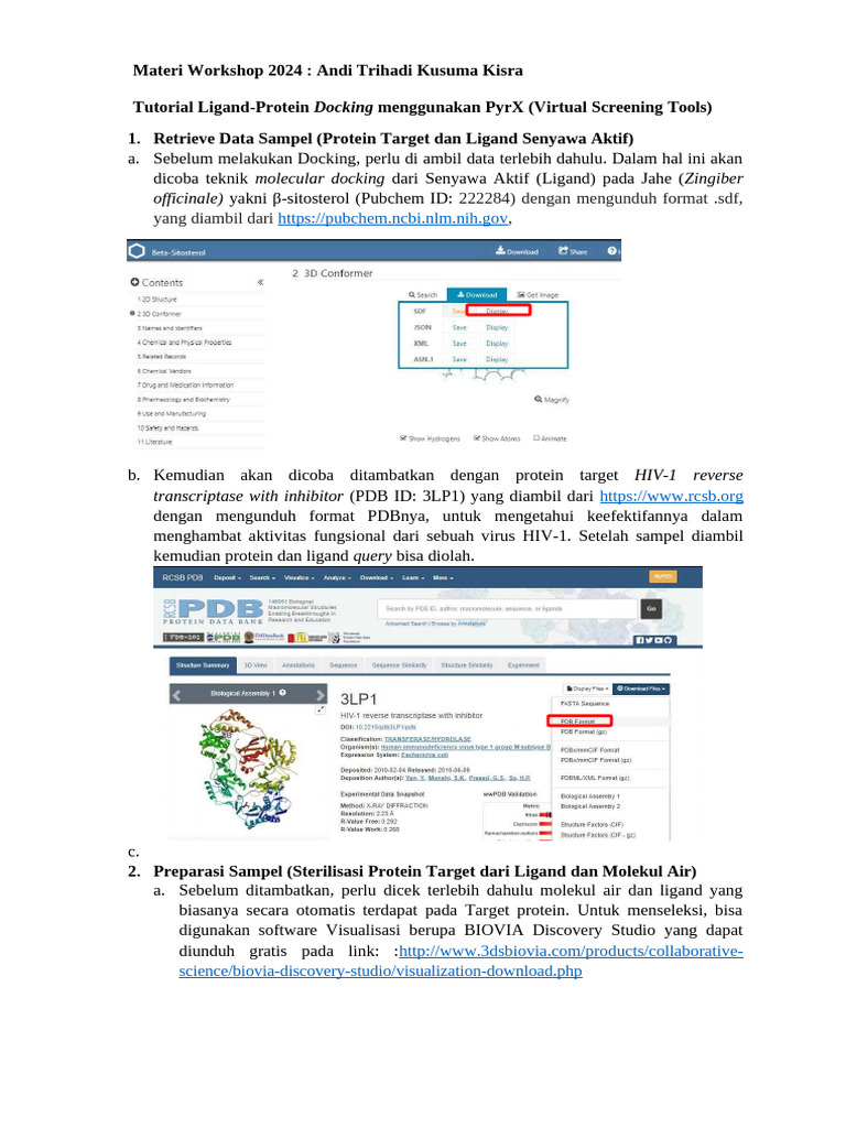 Tutorial Ligand Protein Docking Mengguna | PDF