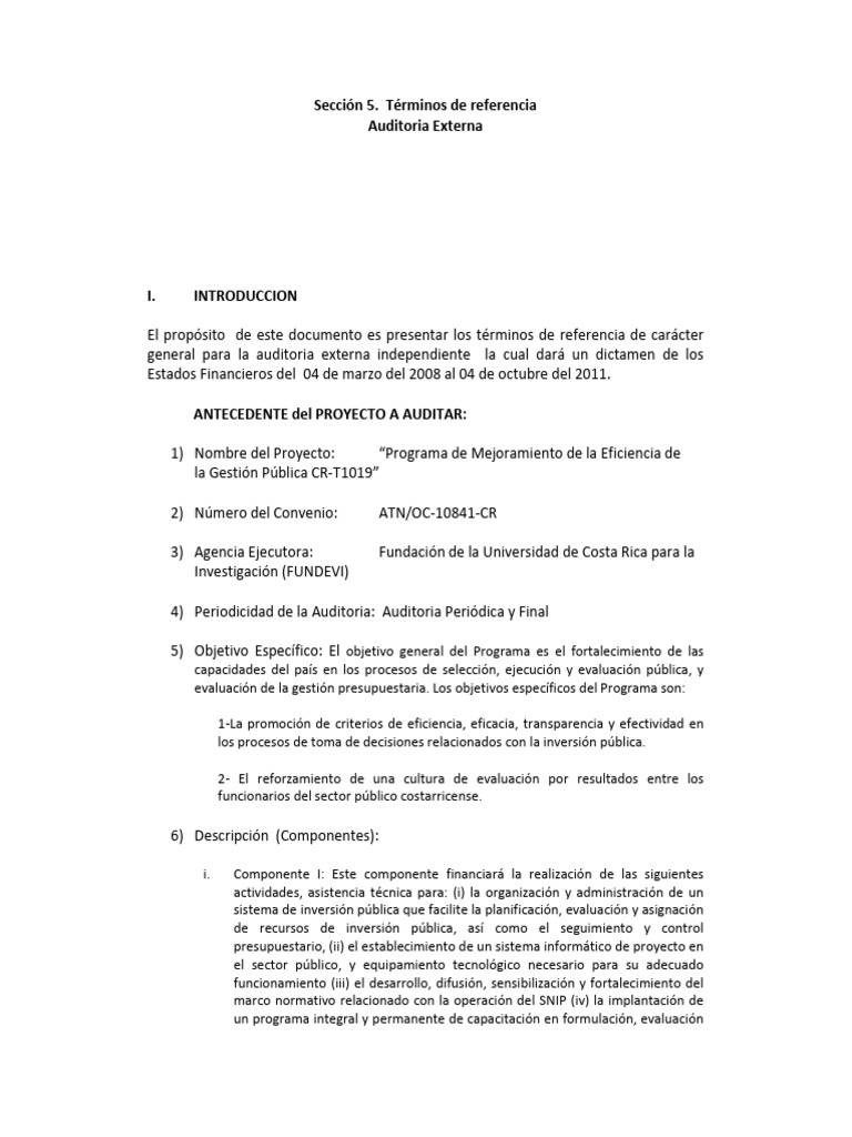 Terminos de Referencia Auditoria 2010-04-17 | PDF