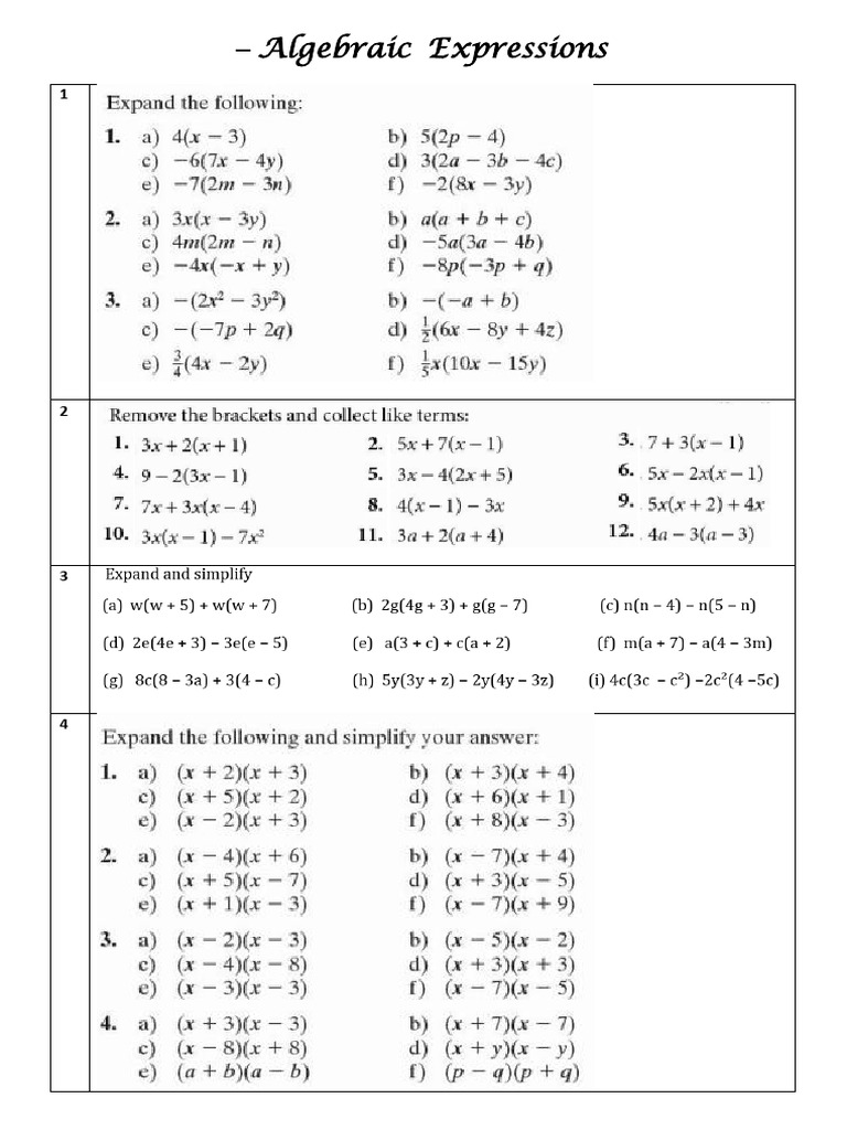 5-Algebric Expression - Tute - 2021 | PDF