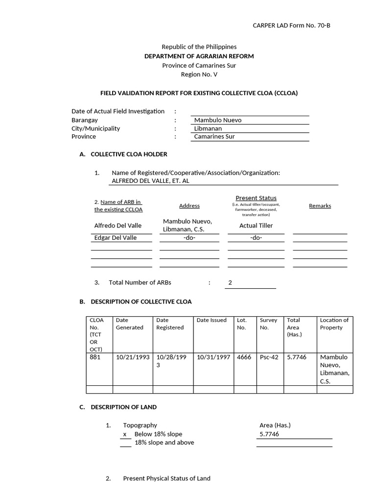 CARPER LAD Form No. 70-B (FVR) - DelValle | PDF