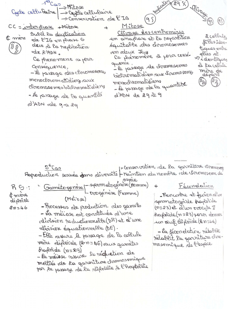 Résumé Partie I TAB | PDF