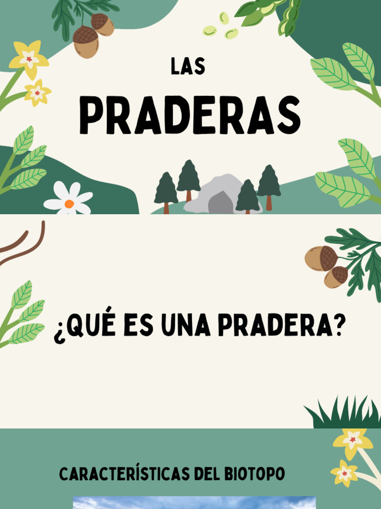 Biologia Sergio | PDF