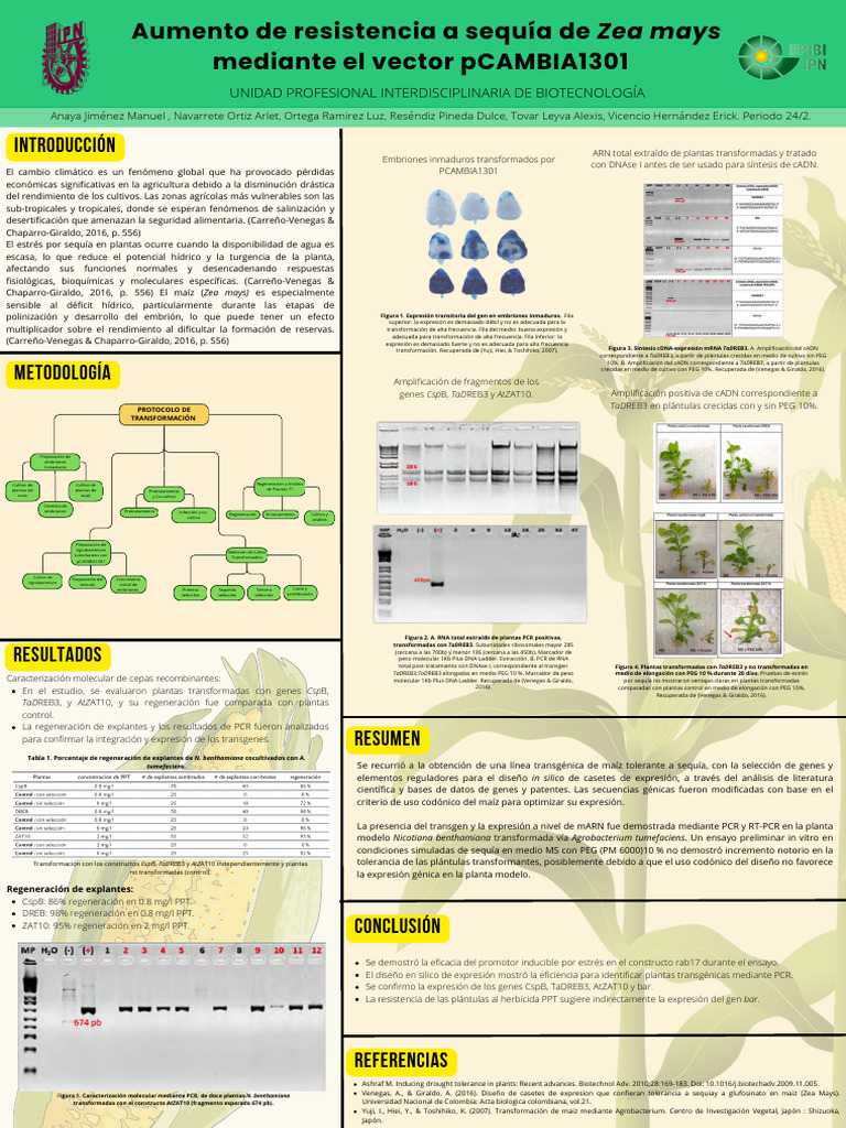 Póster Científico | PDF | Genética | Biología