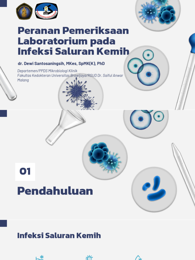 Peranan Pemeriksaan laboratorium ISK | PDF