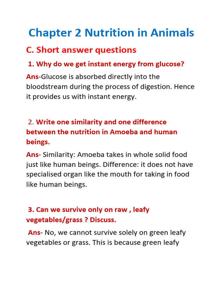 Chapter 2 Nutrition in Animals | PDF