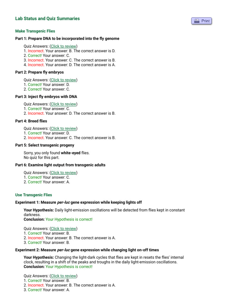 Transgenic Fly Virtual Lab - HHMI's BioInteractive | PDF