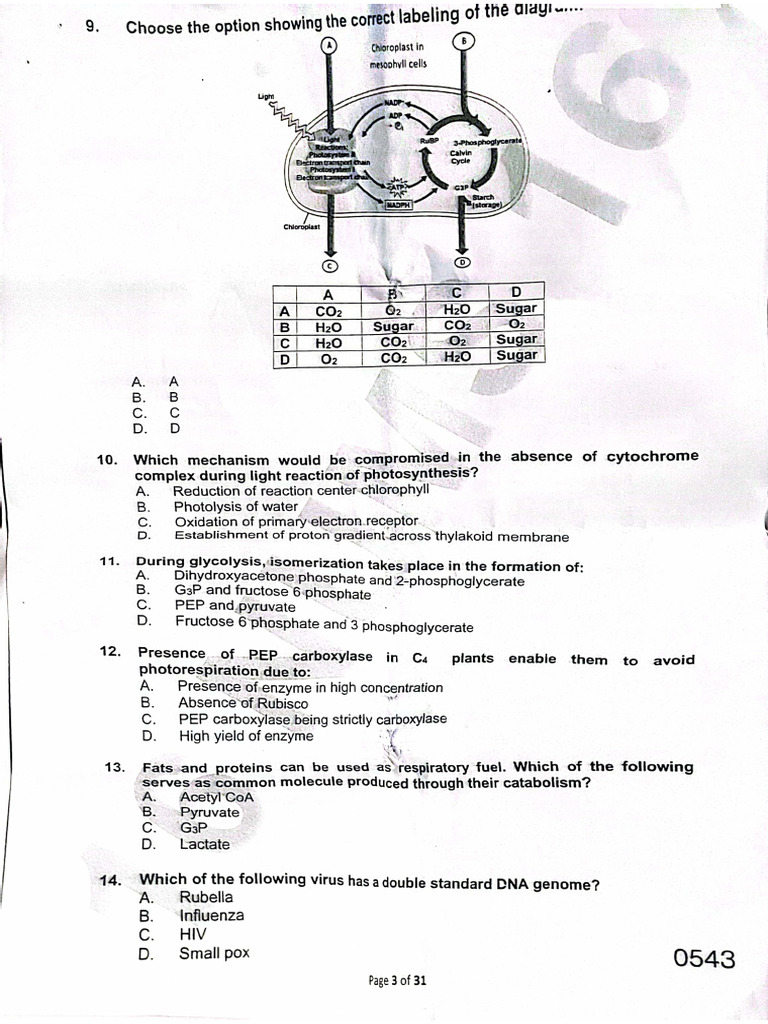 NUMS 2024 100+ MCqs | PDF
