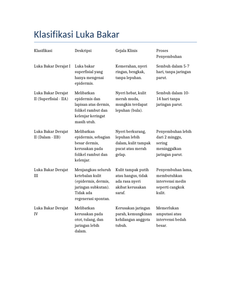 Klasifikasi Luka Bakar | PDF