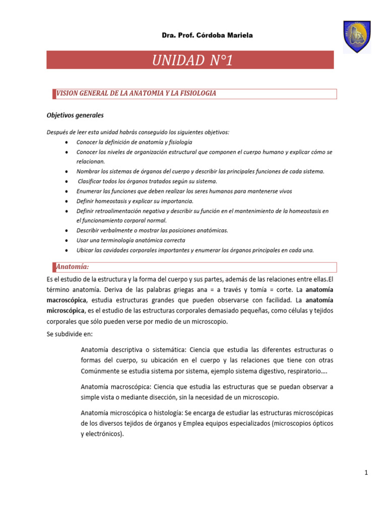 Bloque 1 Material Teórico Práctico | PDF