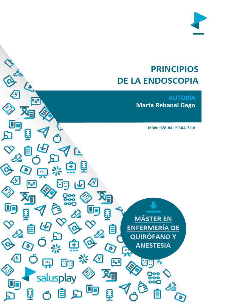 Principios de La Endoscopia 2 | PDF