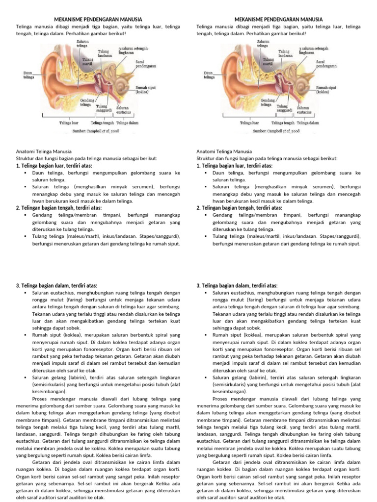 Mekanisme Pendengaran Manusia | PDF