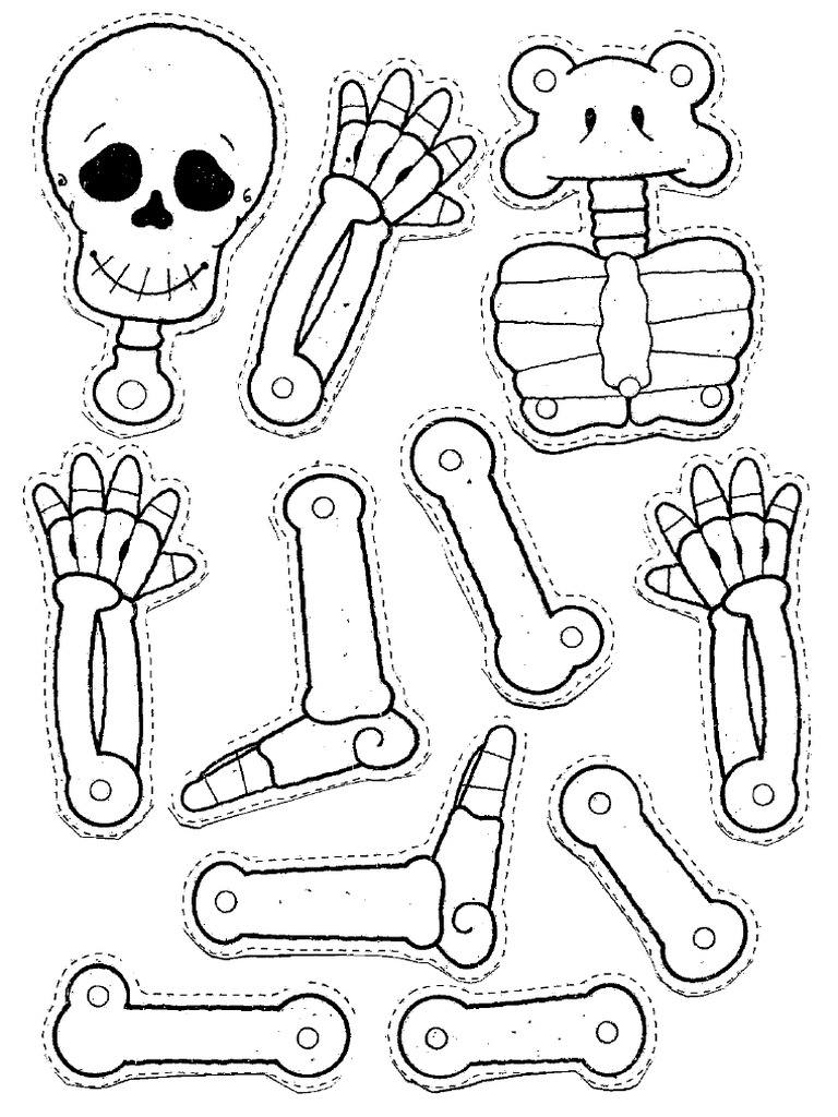 Esqueleto para Armar-Maestra Janet | PDF