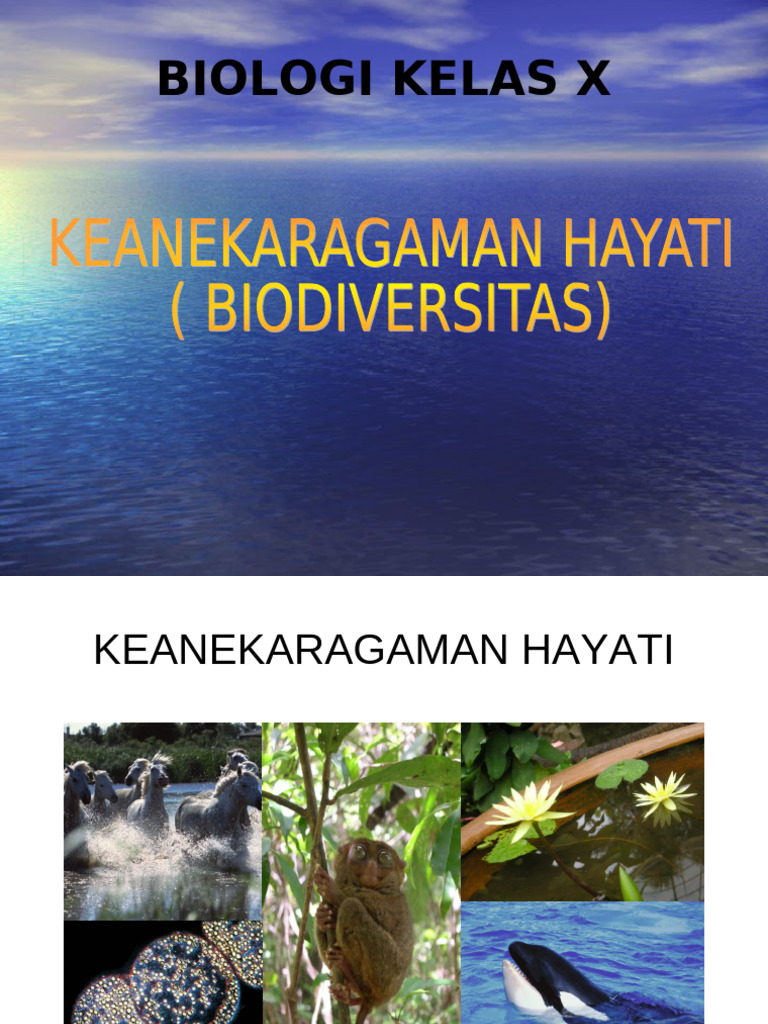 Keanekaragaman Hayati dan Biodiversitas | PDF | Science & Mathematics