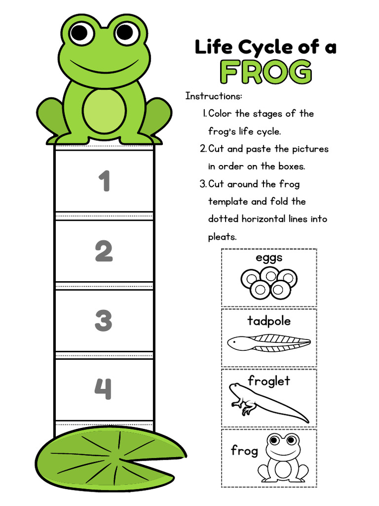 Green Frog Life Cycle Craft Science Activity | PDF