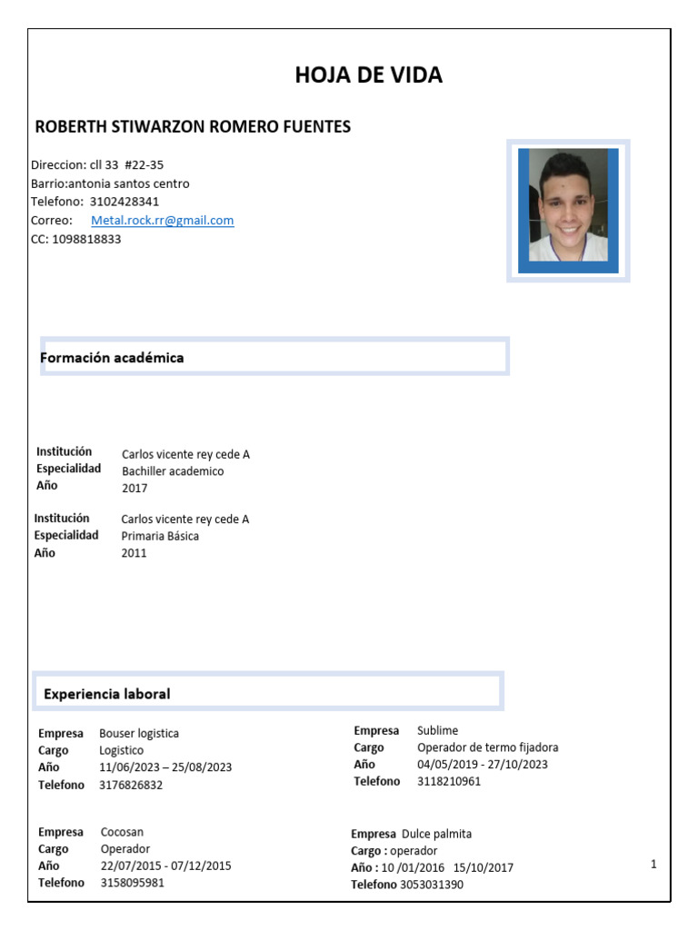 Hoja de Vida Robert Romero | PDF