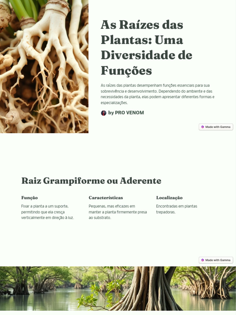 As Raizes Das Plantas Uma Diversidade de Funcoes 1 | PDF