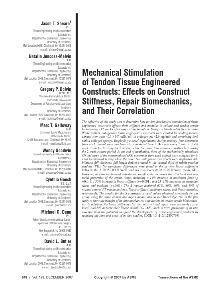Mechanical Stimulation of Tendon Tissue Engineered Constructs. J ...