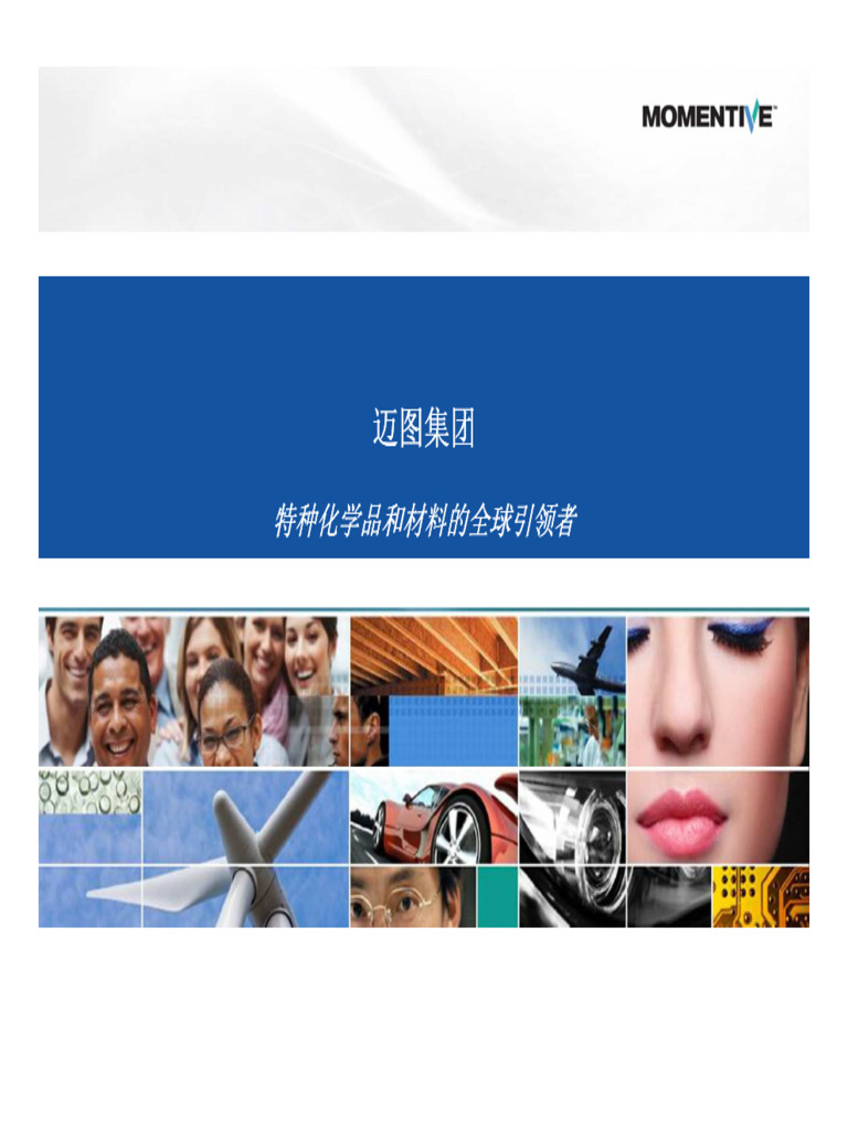 Momentive | PDF