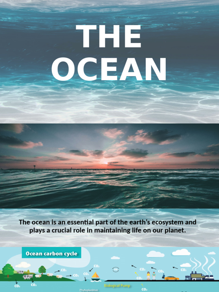 THE OCEAN | PDF