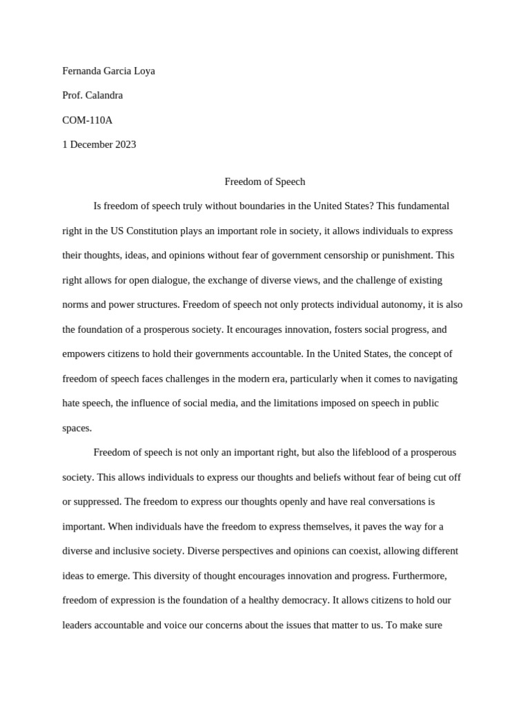 Freedom of Speech Essay | PDF