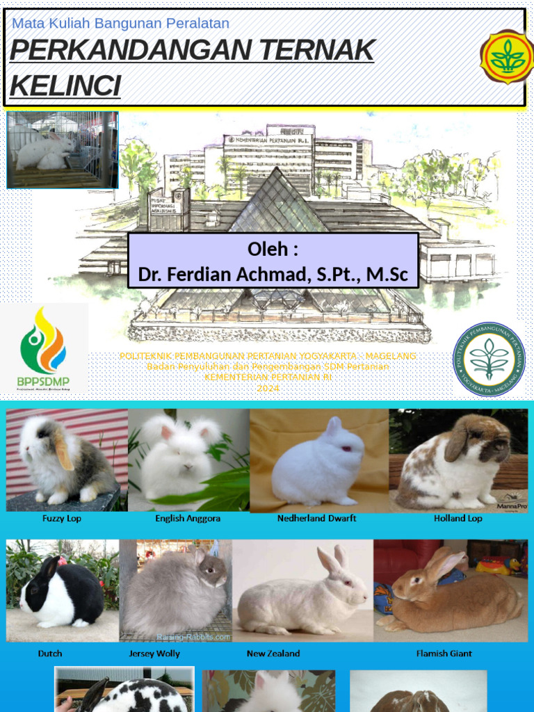 Kuliah 4 - Kandang Kelinci | PDF