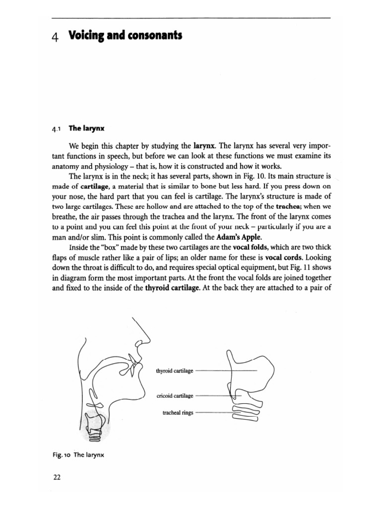 Roach - Voicing and Consonants | PDF