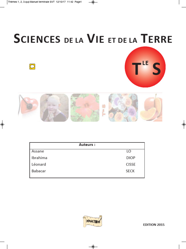 Tle Activité | PDF
