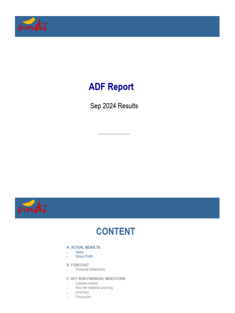 0.monthly FS Presentation - New Version | PDF