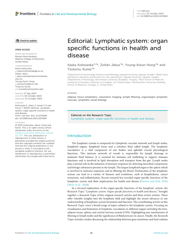 Lymphatic System Pdf