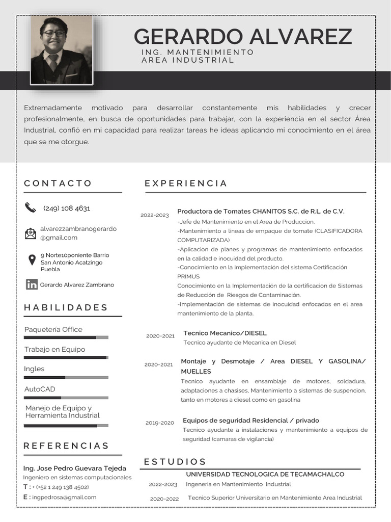Curriculum Vitae Gerardo Alvarez Zambrano | PDF