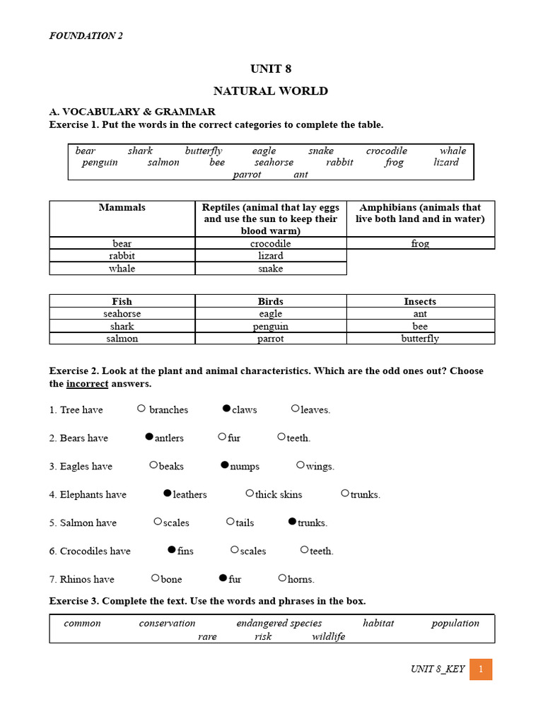 Unit 8 Answer Key Pdf