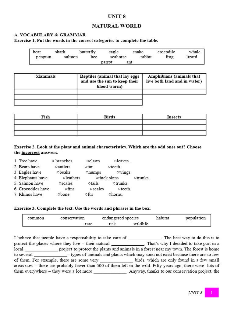 Unit 8 - Student | PDF