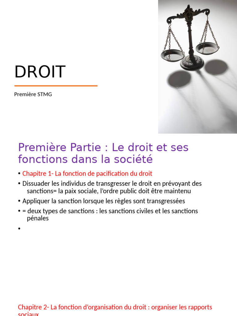 Droit Stmg1 | PDF