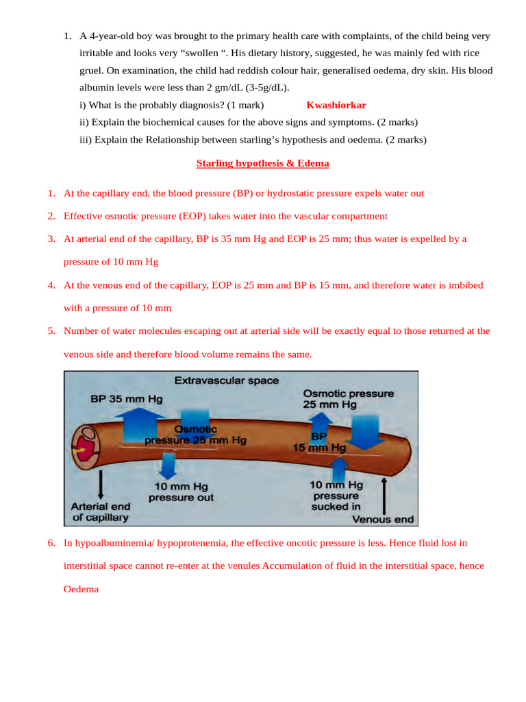 Starling's Hypothesis and Edema | PDF