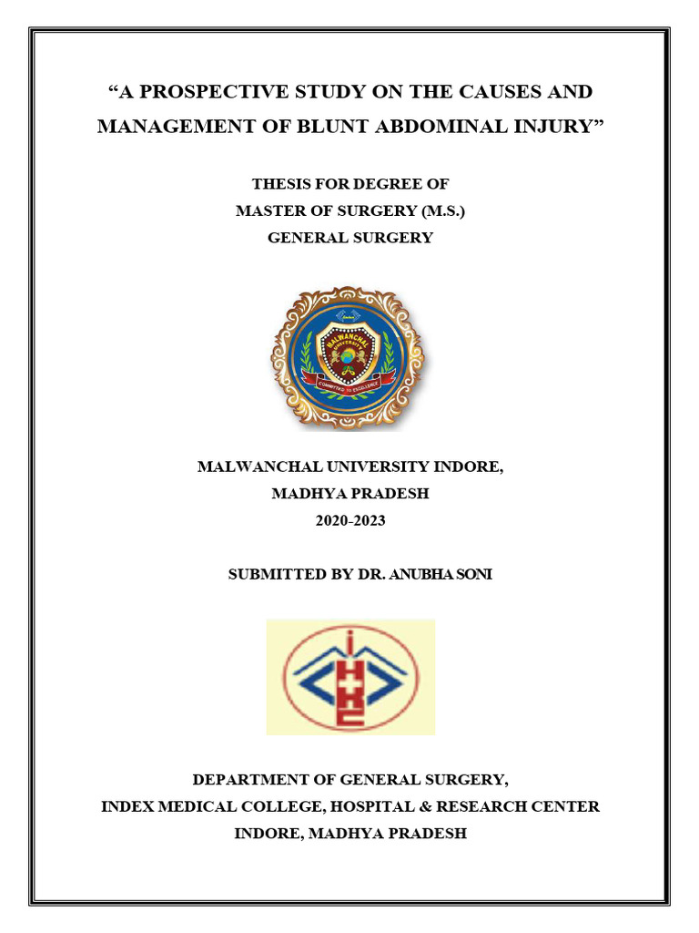 Final Thesis | PDF