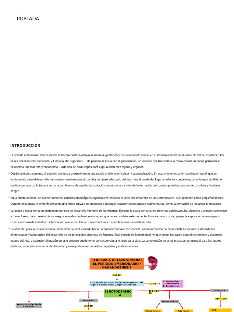 Presentación 2 | PDF