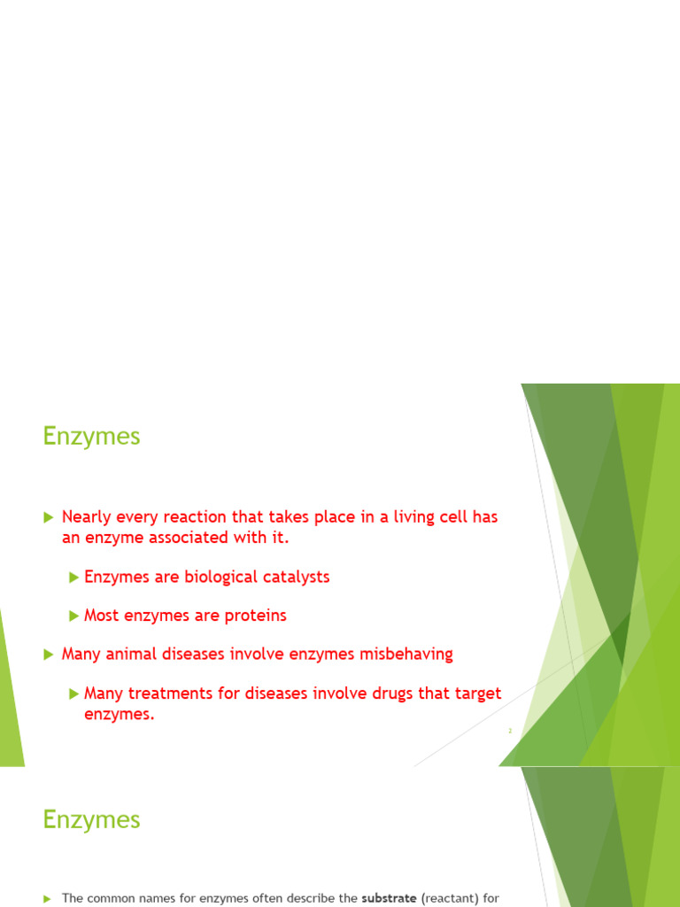 Enzyme | PDF