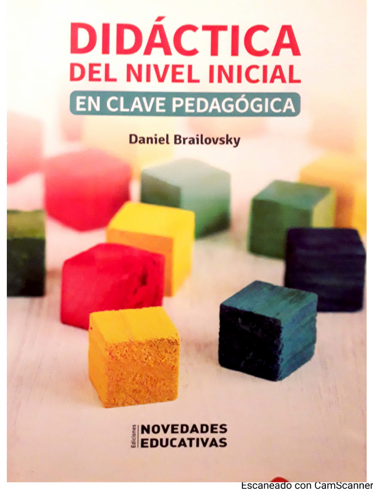 316-J03-Evaluación. Brailovsky. Didáctica Del Nivel Inicial | PDF