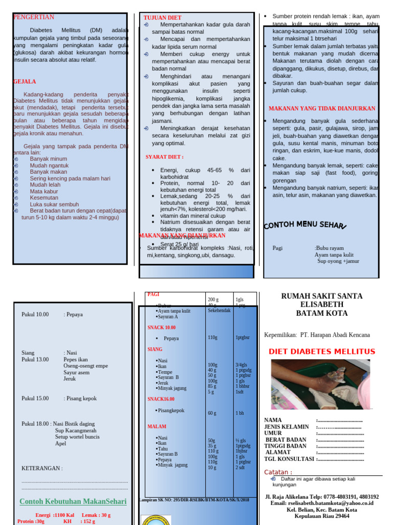 Brosur DM 1100 Kal | PDF